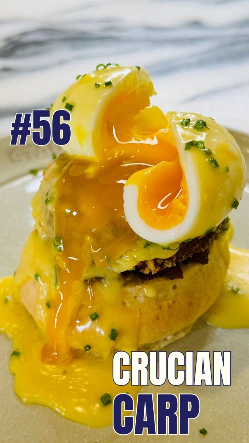 Andrej Cooks Fish | Fish Daddy | Cooking Every Fish in the World